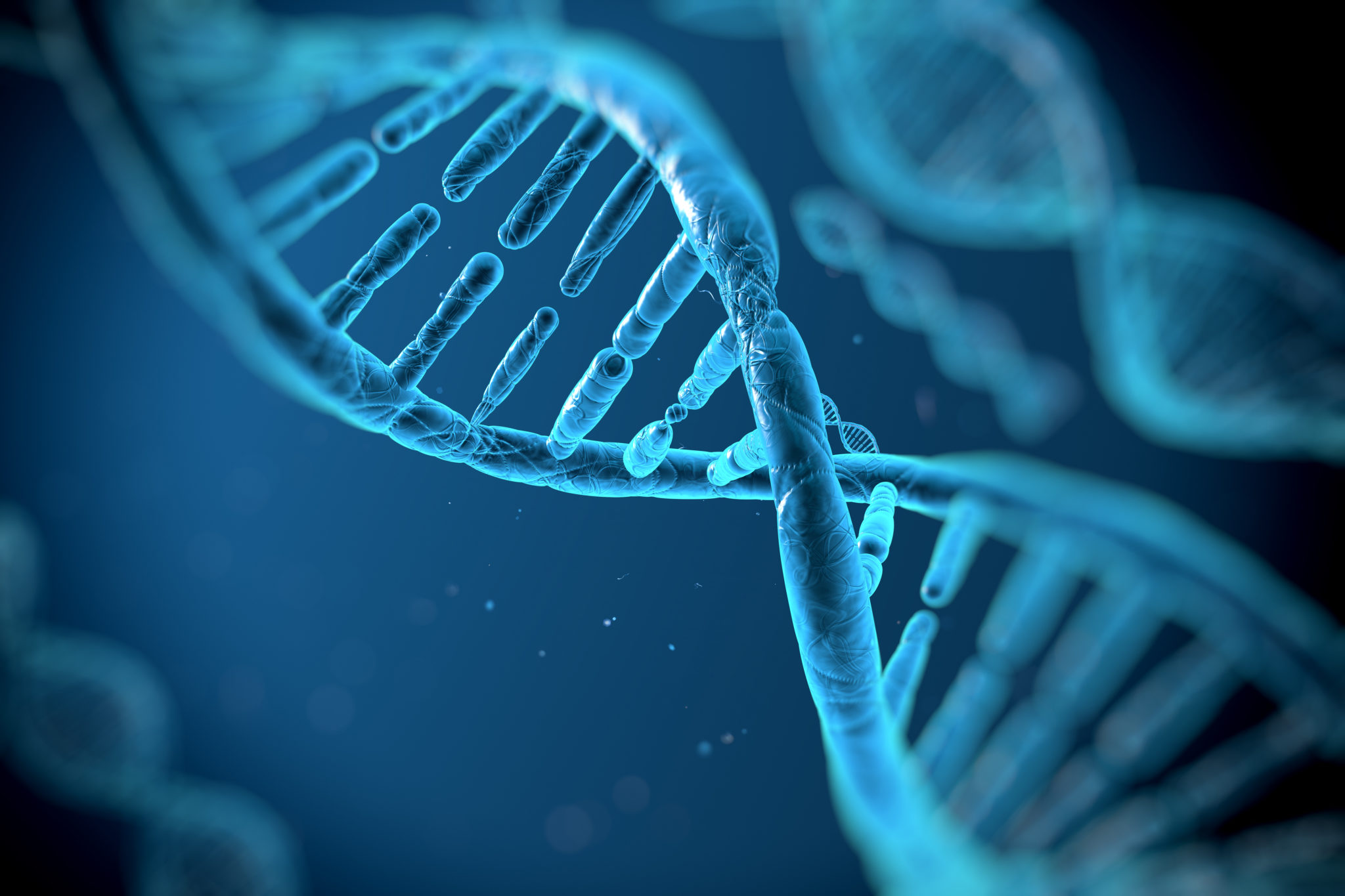 Stem Cell Worx | Thrive Biotics